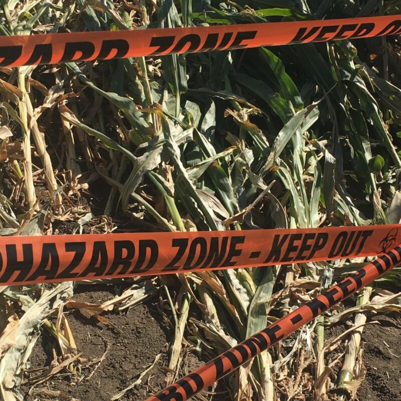 Concept Of Dropped Objects – Preventdrops